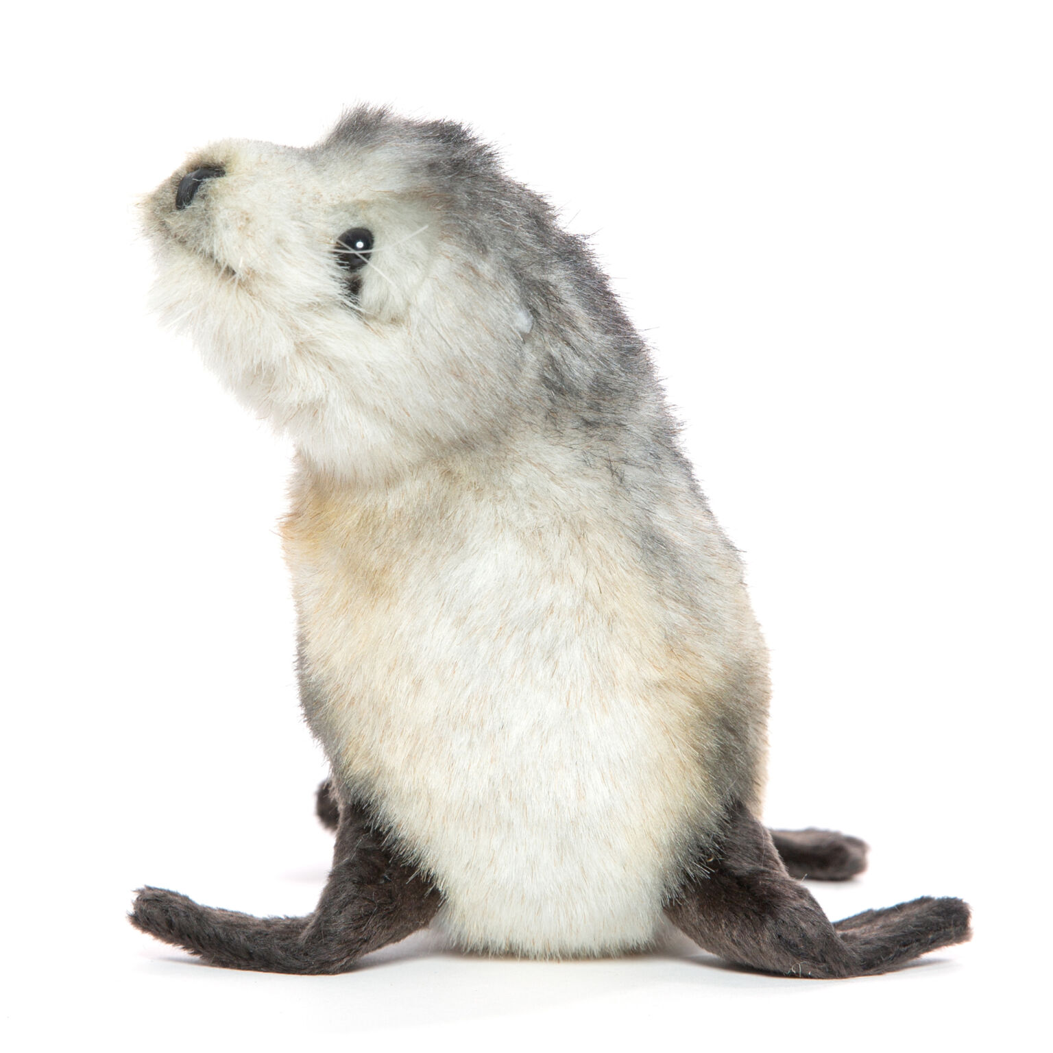 Kaapse pelsrob pup grijs 26 cm - handgemaakte pluchen zeehond