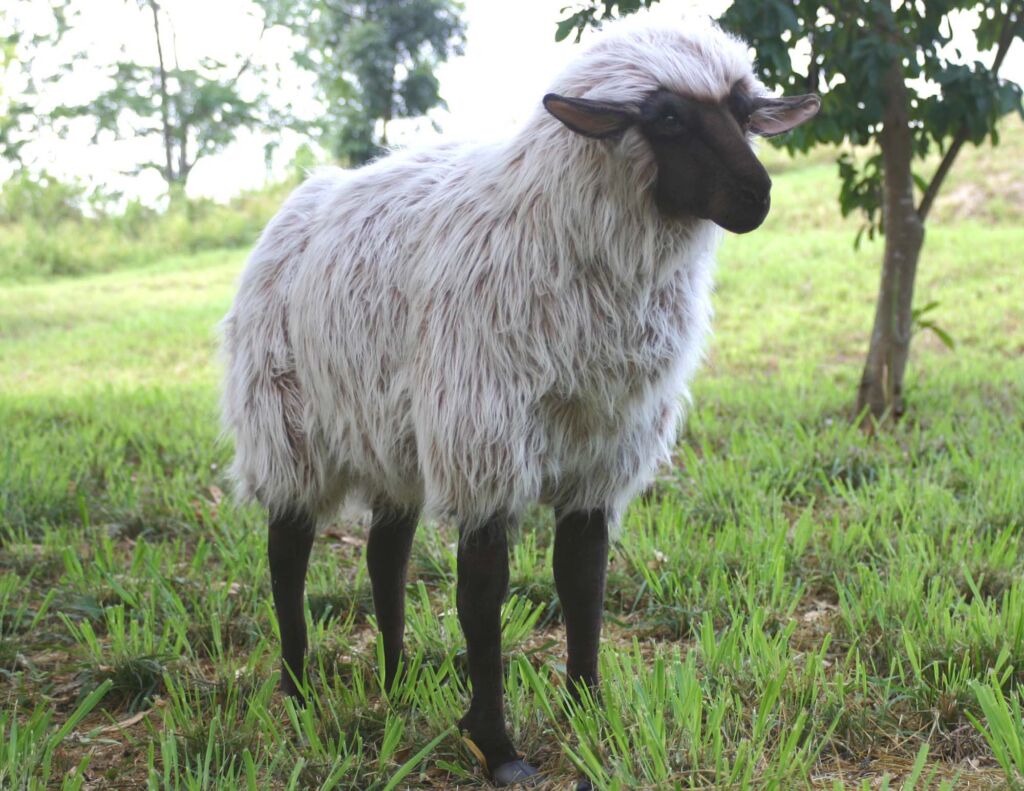 XL Grijze Schaap ware grootte bruin decoratie 105 cm - levensechte ...